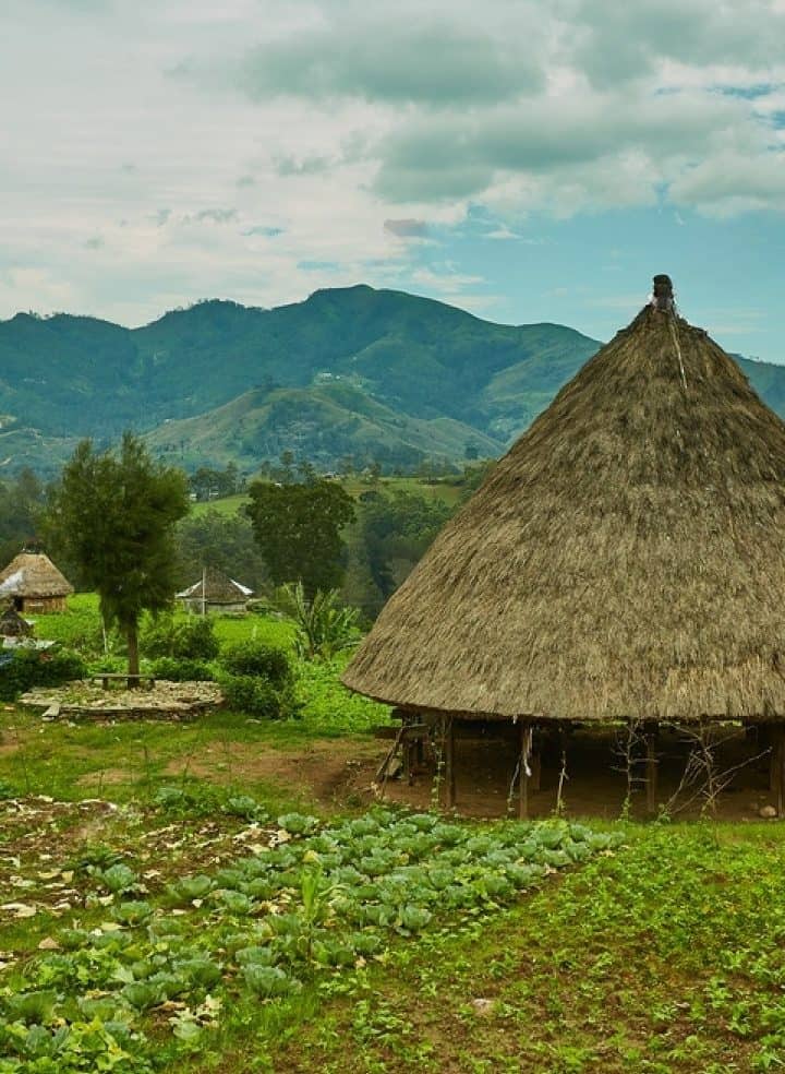 Moeda do Timor Leste - Qual é, quanto levar e onde trocar